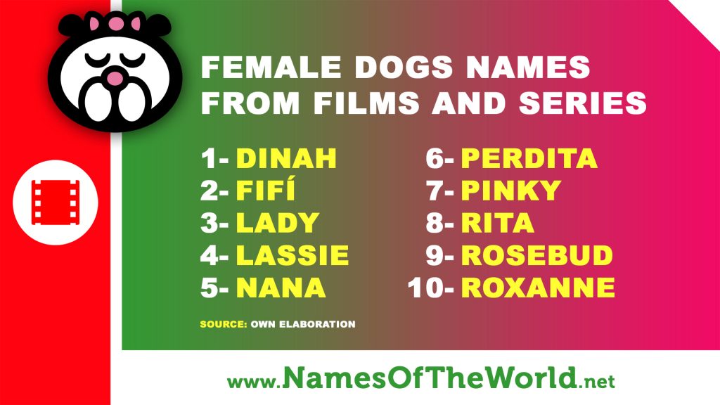 10 Famous Female Dog Names From Films And Series 10 Famous Female Dog Names From Films And Series