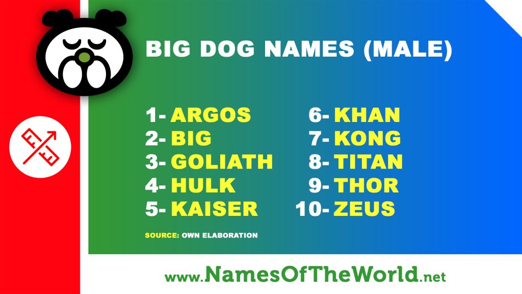 10 Male Names For Big Dogs 10 Male Names For Big Dogs